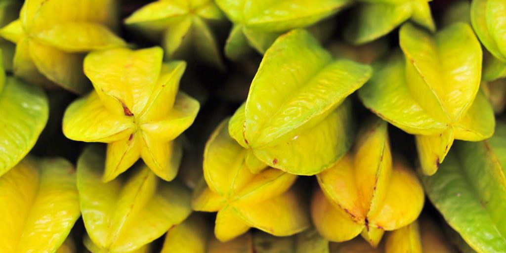 BALIMBING - REMAH SABDA