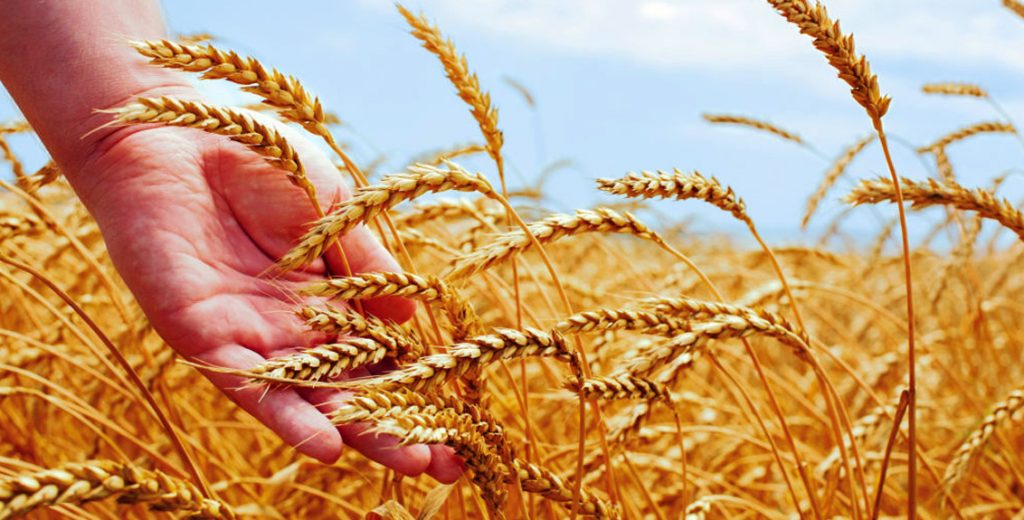 SABAT DIADAKAN UNTUK MANUSIA – REMAH SABDA